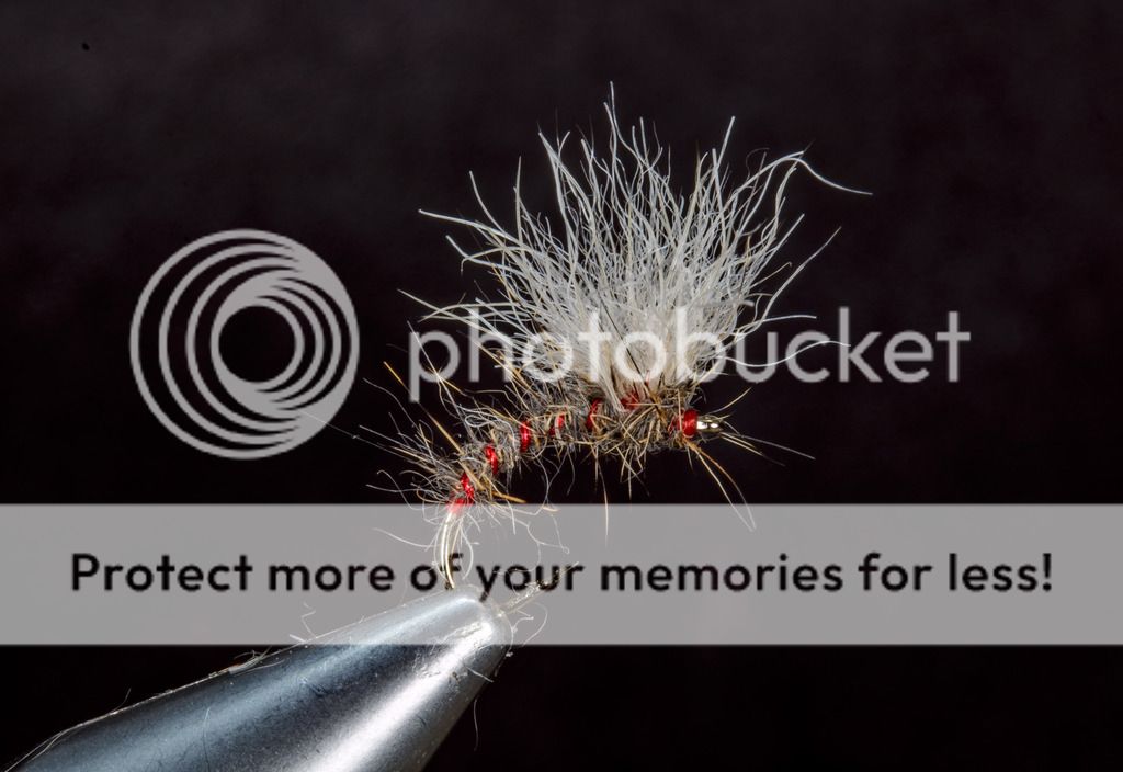 Suspender patterns on rivers? | Fly Fishing Forum